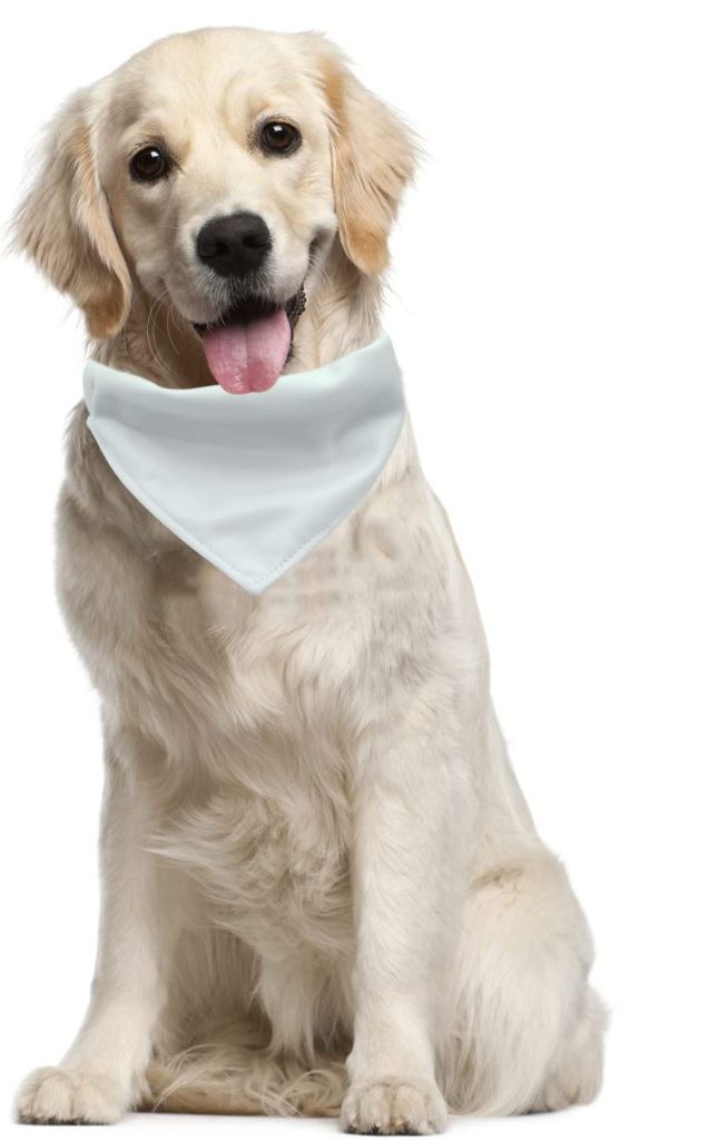 Dog Bandana Scarf For Sublimation - Blanks Outlet